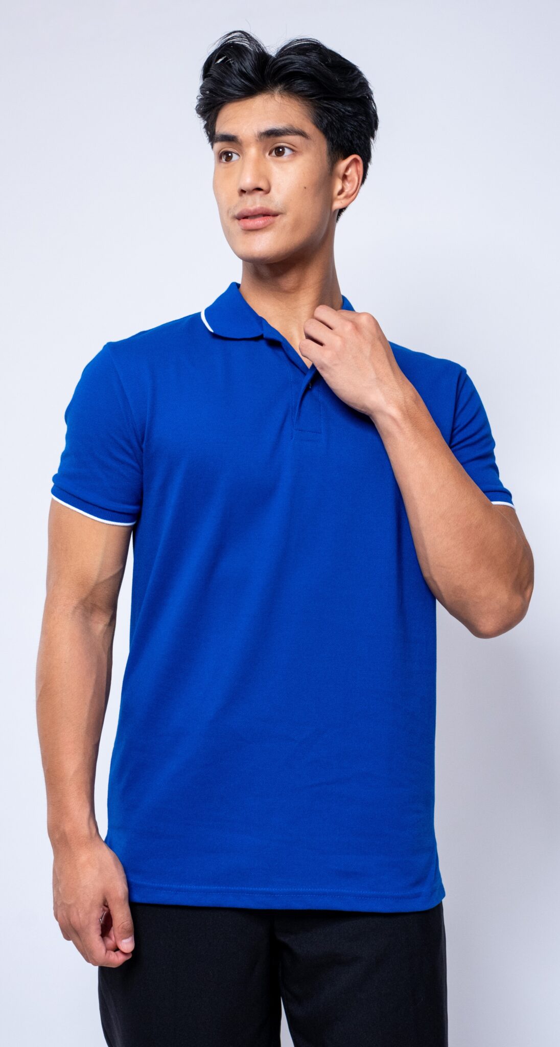 Royal Blue Line Polo Shirt for Sale Philippines